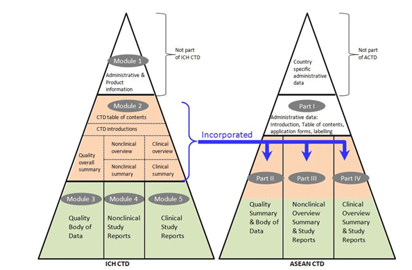 Introduction to the ASEAN Common Technical Dossier (ACTD) for ...