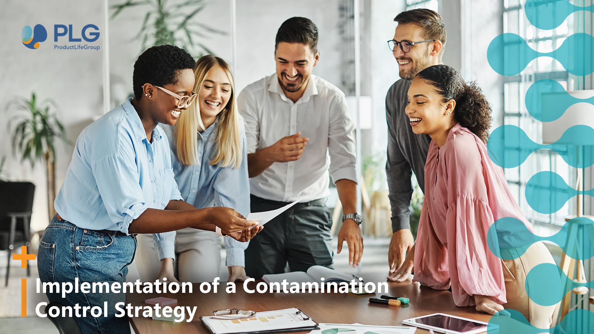 Annex 1: Implementation of a CCS - Product Life Group