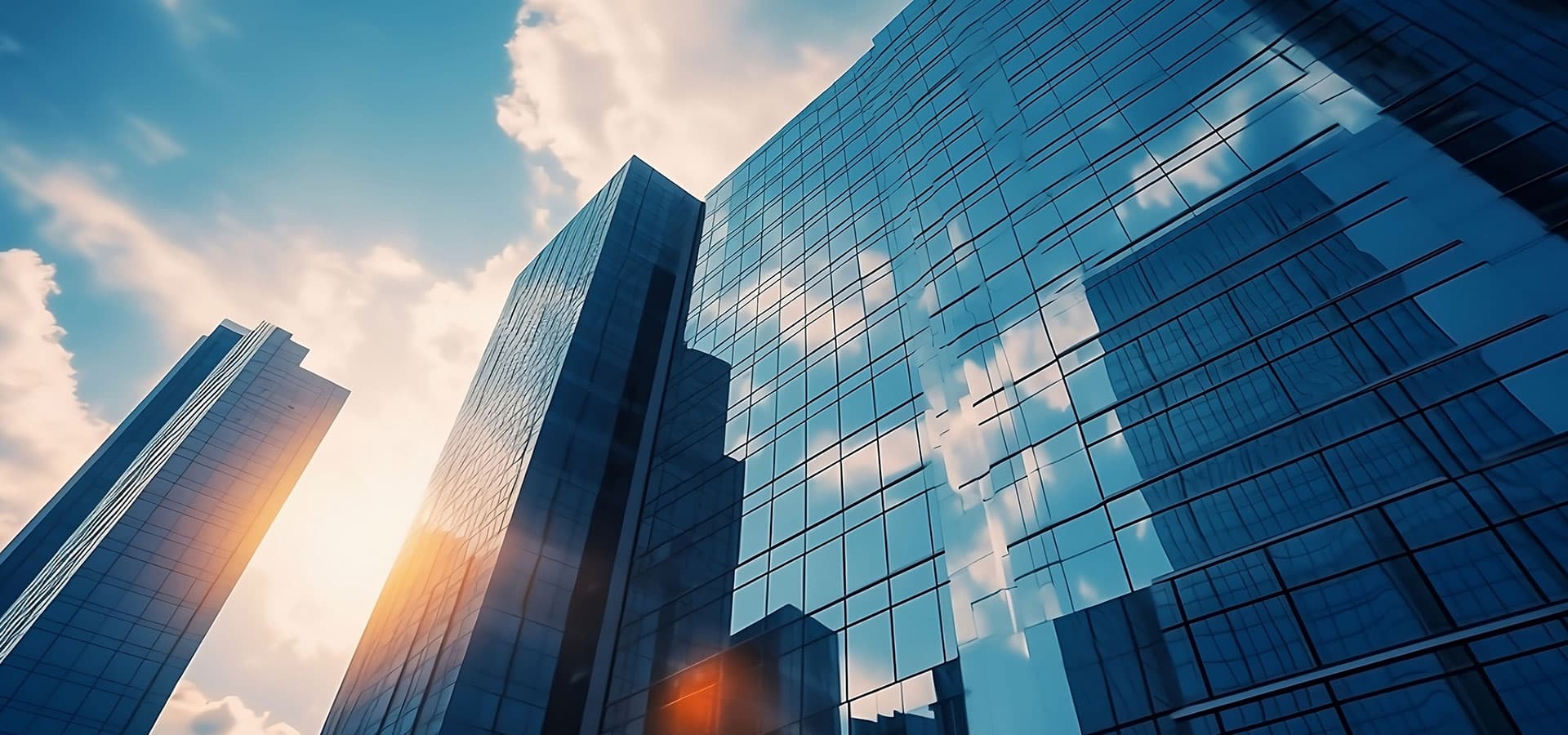 Regulatory Support and Representation with Health Authorities